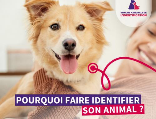 Identifier son animal